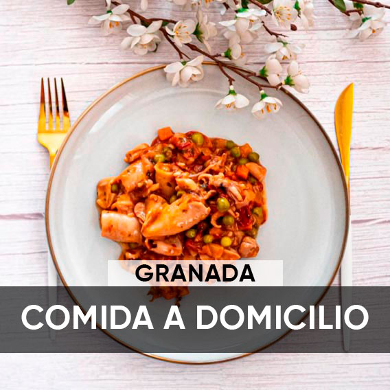 Entrega de Comida Casera a Domicilio en Granada | MiPlato.es